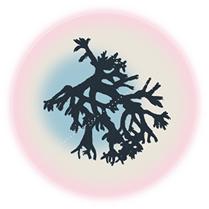 Balance Beam – Looni